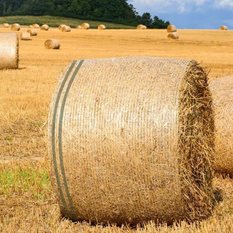 Filet Round Baller Premium HD - 3000 m - Silagri